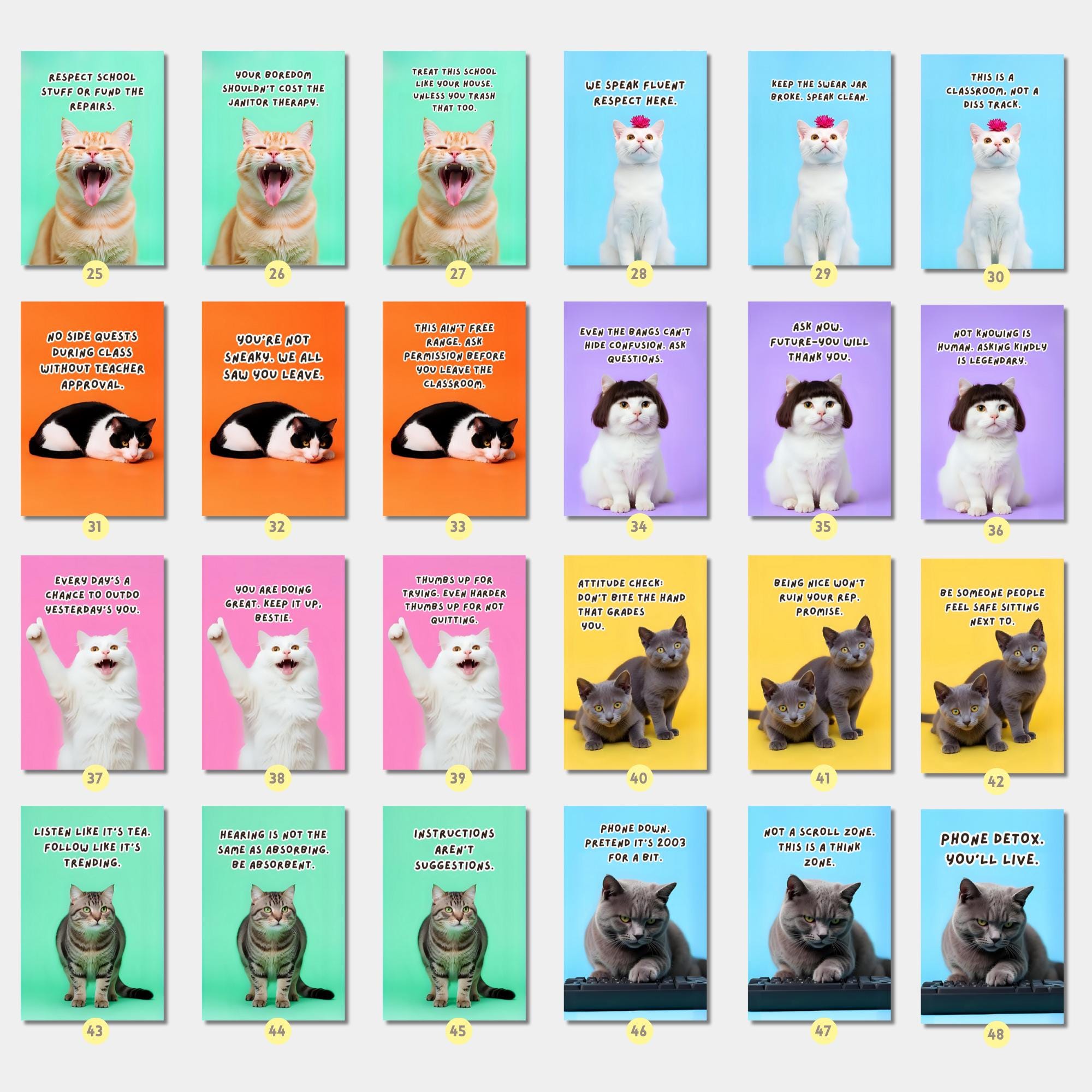 Funny Class Rules Cat Meme Posters, Hilarious Classroom Decor for High ...