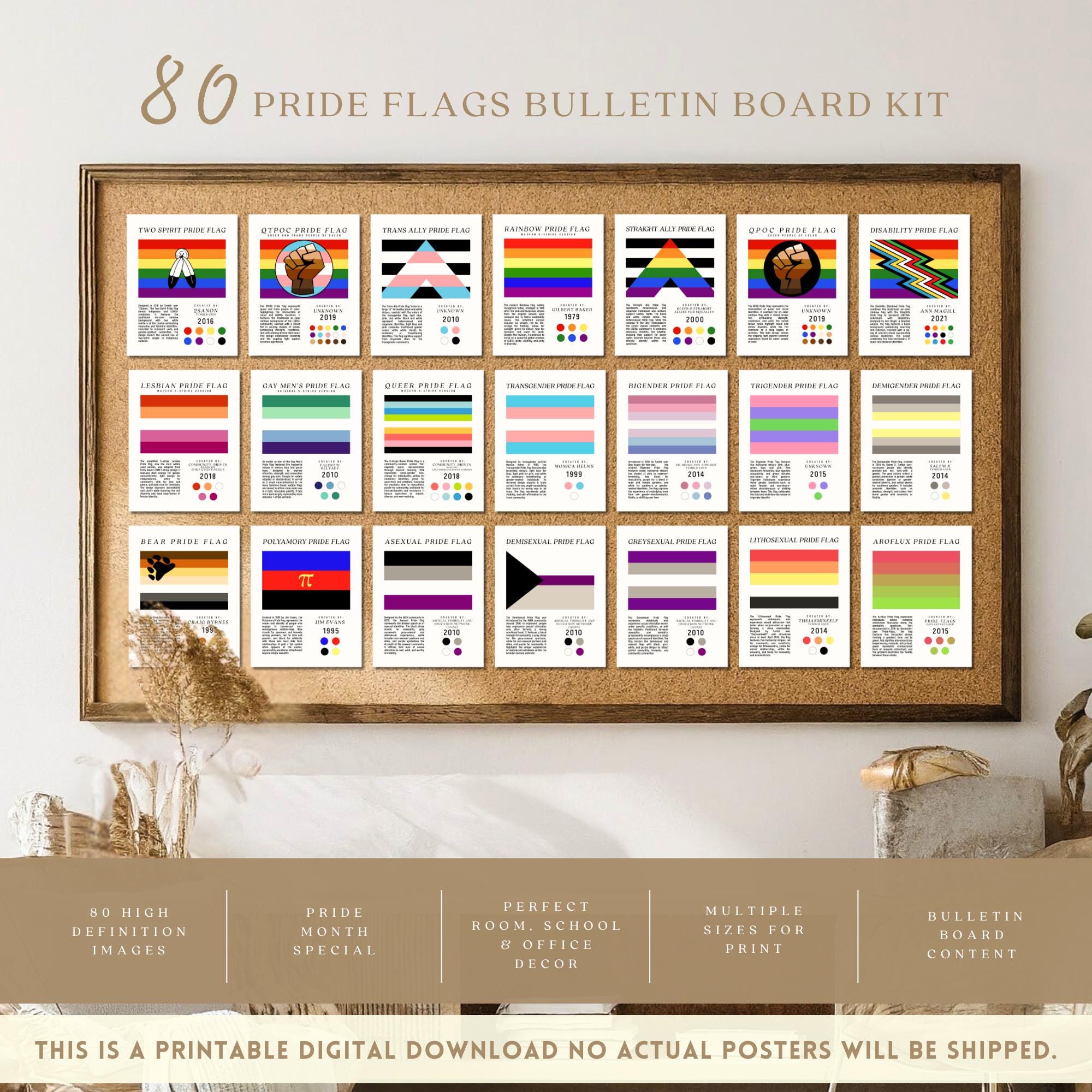 80 Pride Flags Posters, Pride Month Classroom Decor, LGBTQ History June ...