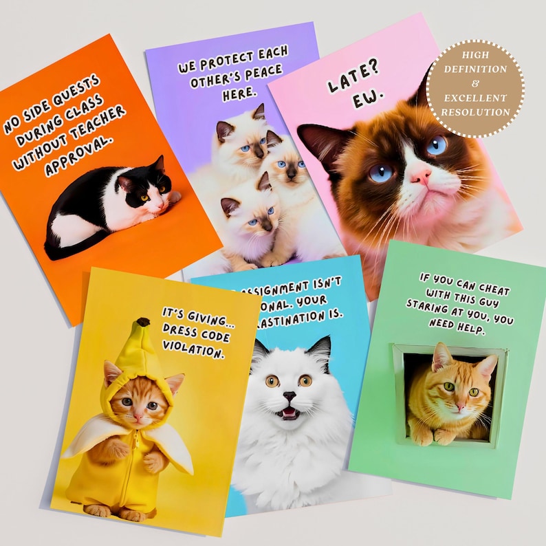 Funny Class Rules Cat Meme Posters, Hilarious Classroom Decor for High ...
