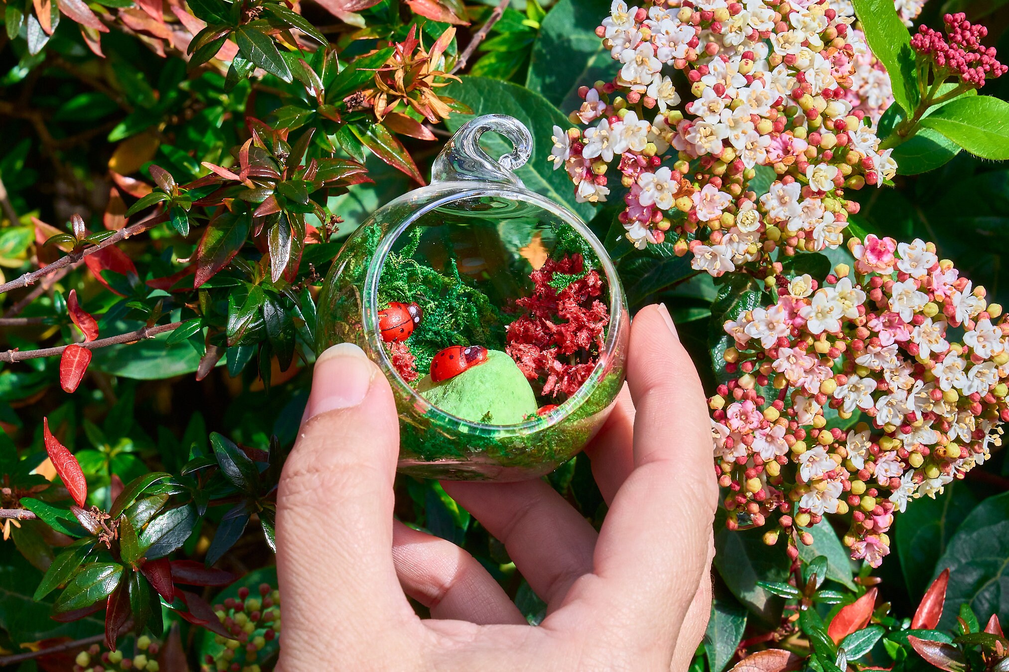 Crystal Ball With Magic Garden / Ladybug Diorama / Miniature World - Etsy