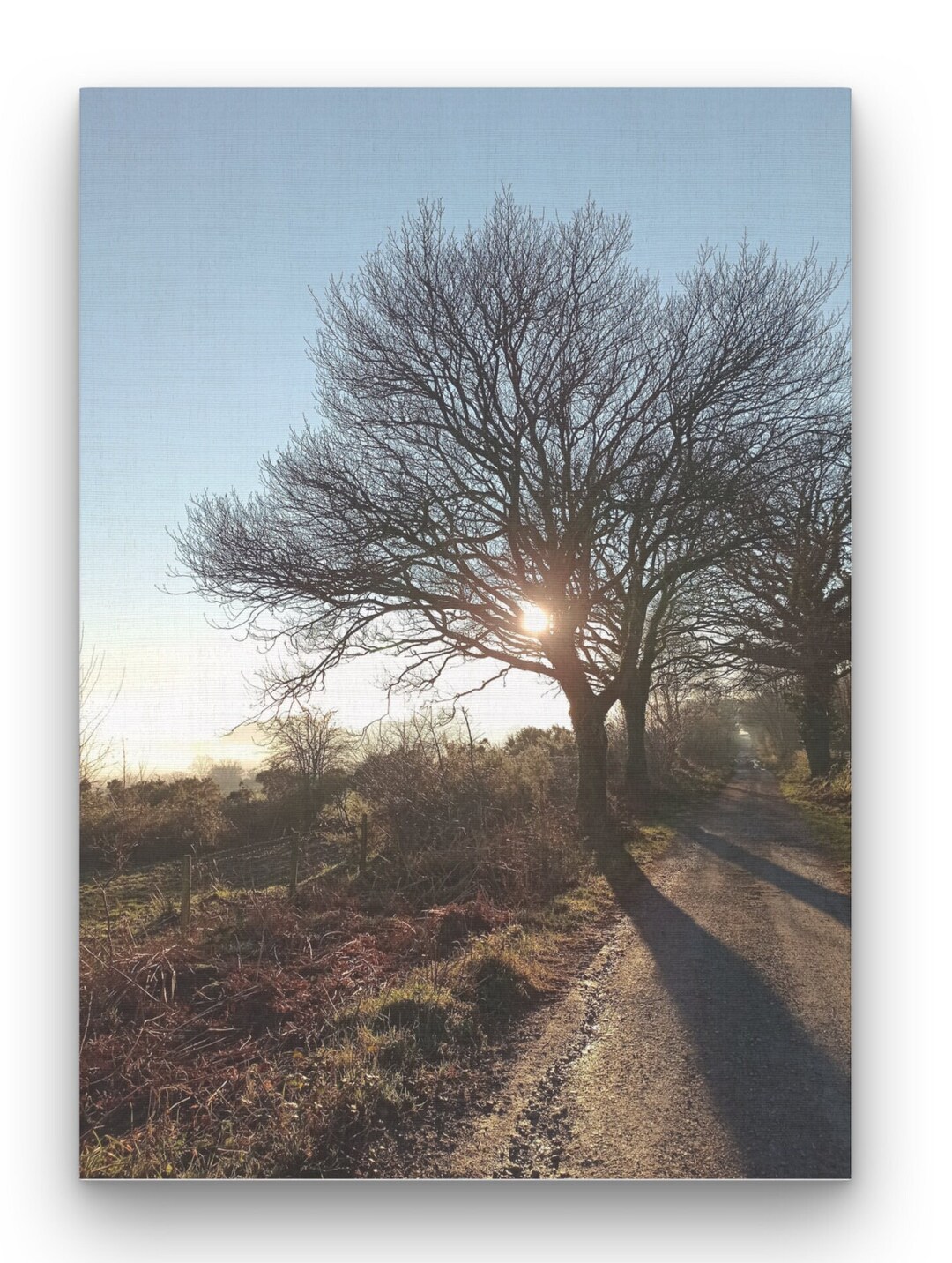 Relaxing Tree View, Digital Print, Wall Art, Home Decor, Nature ...
