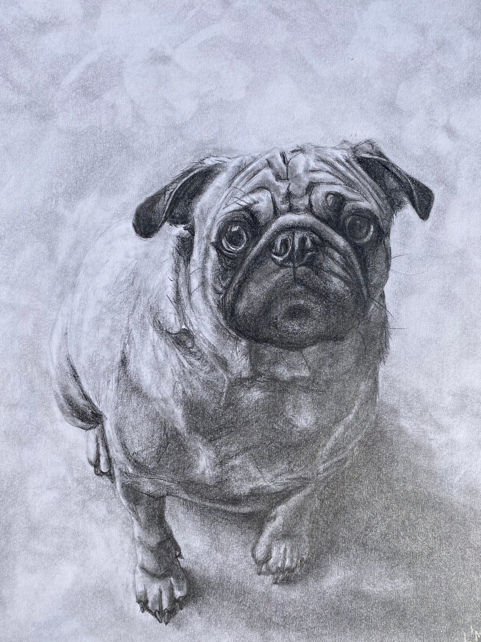 Hand Drawn Custom Pet Drawings - Etsy