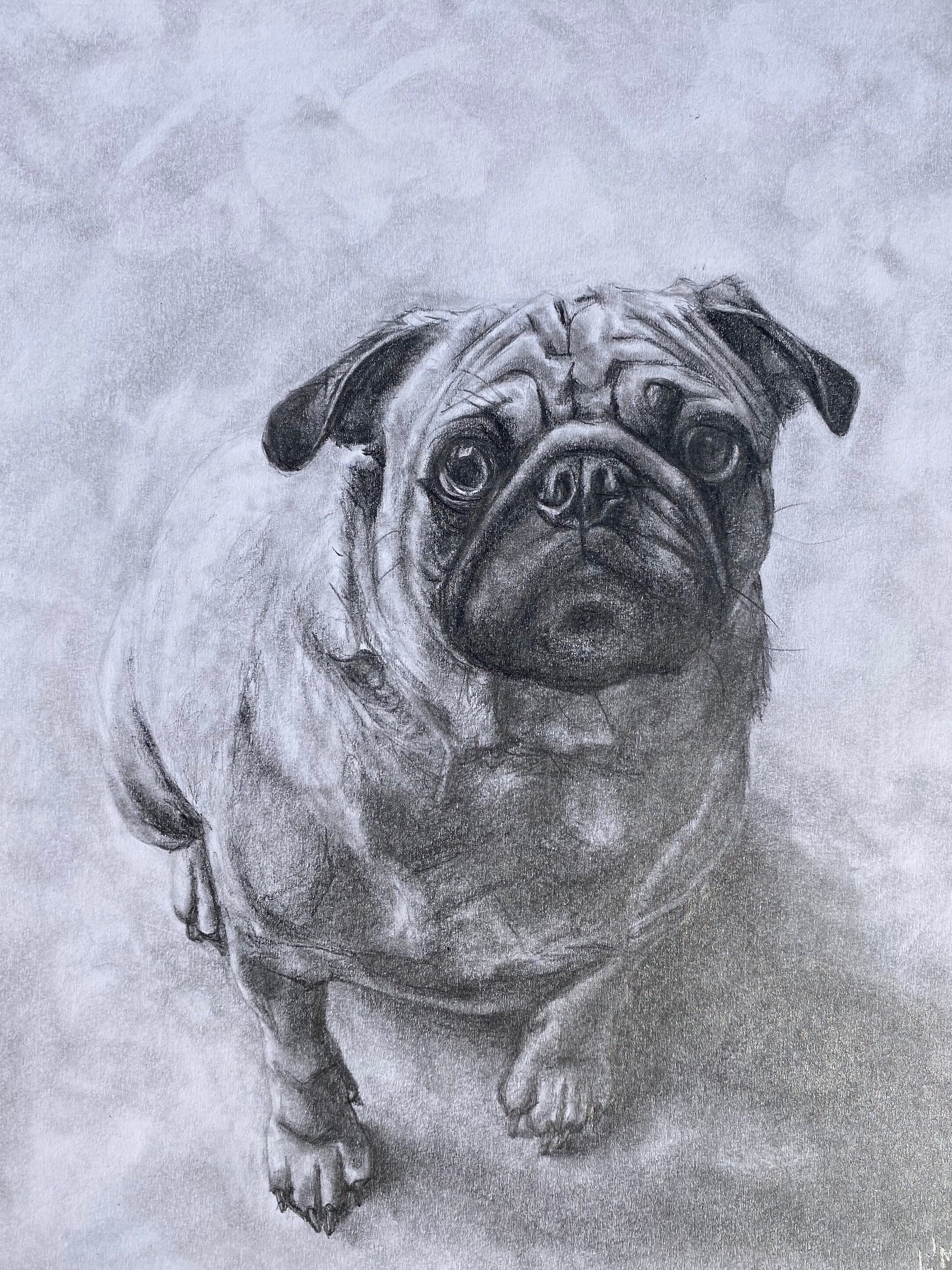 Hand Drawn Custom Pet Drawings - Etsy