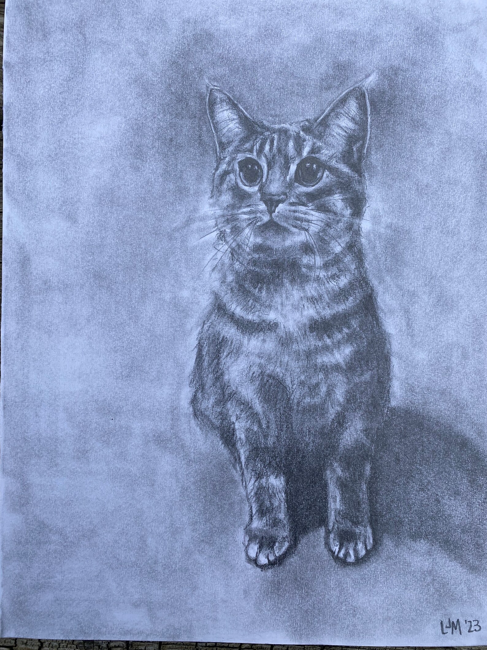 Hand Drawn Custom Pet Drawings - Etsy