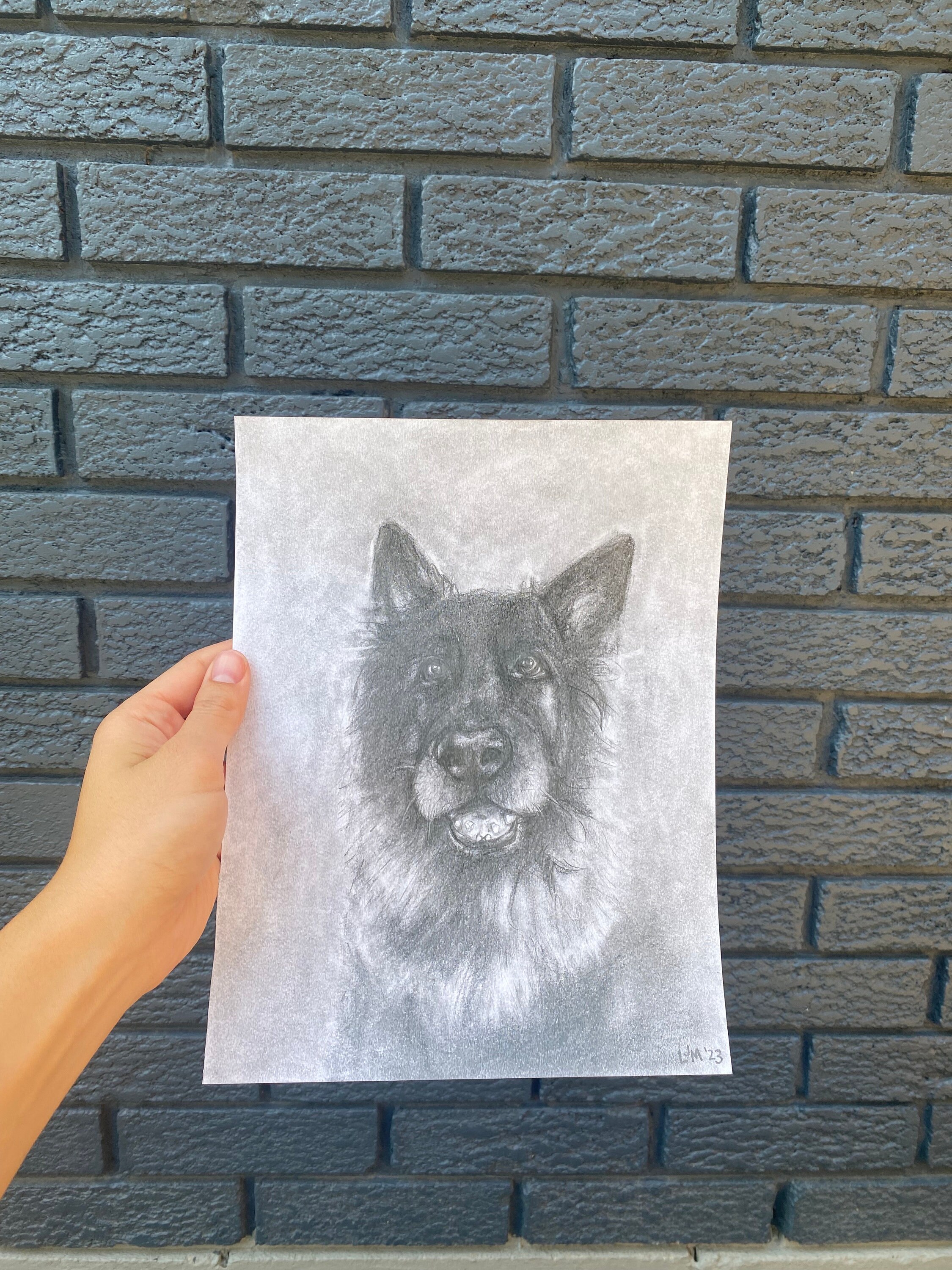 Hand Drawn Custom Pet Drawings - Etsy