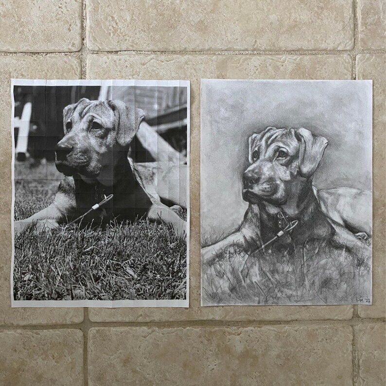 Hand Drawn Custom Pet Drawings - Etsy
