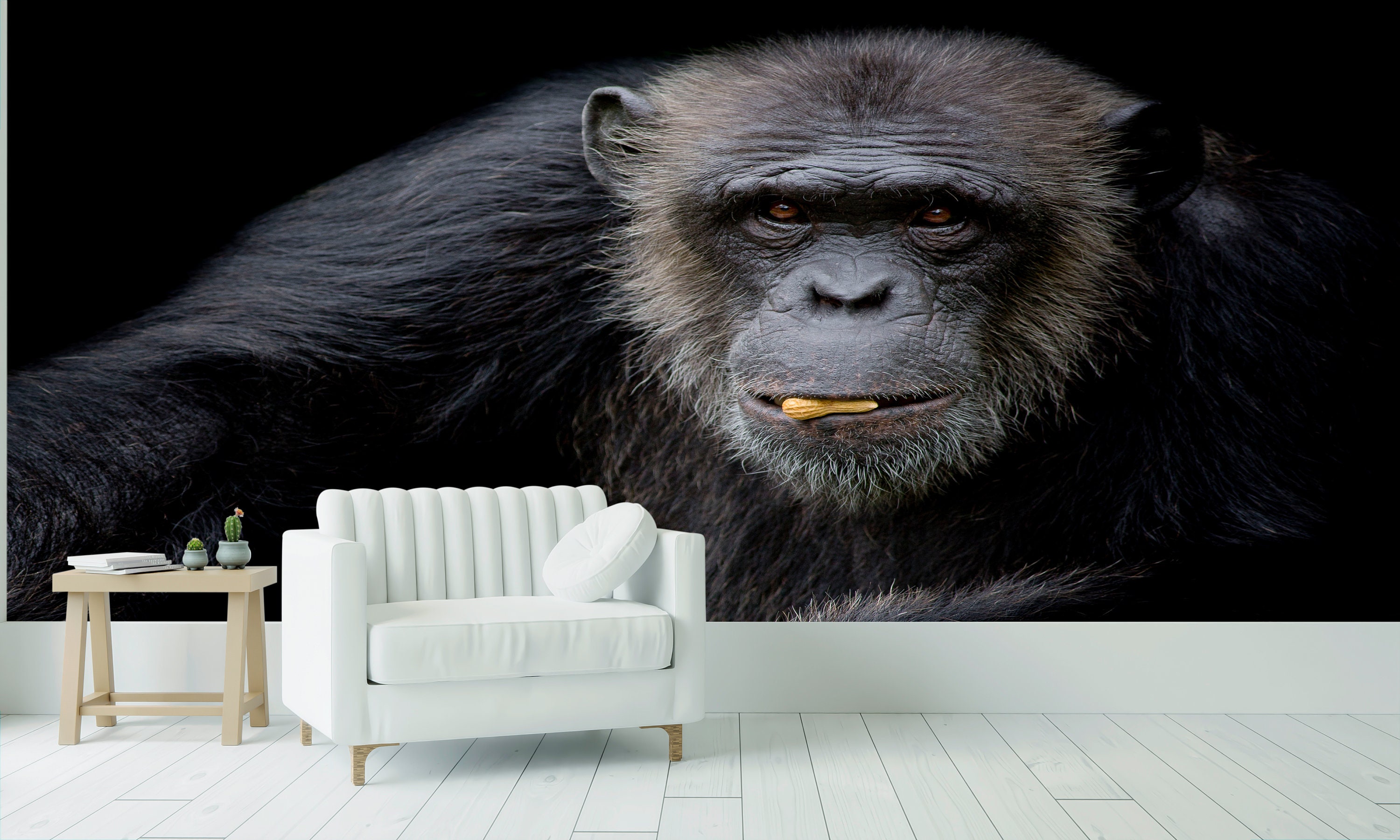 Chimpanzee Wallpaper Mural, Animal Wall Art, Monkey Wallpaper - Etsy