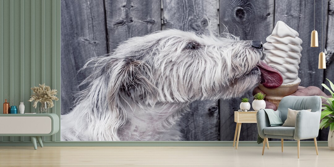 Cute Dog Paper Craft, Animal Wall Mural, Cute Dog Lovely Dog Wall Paper ...