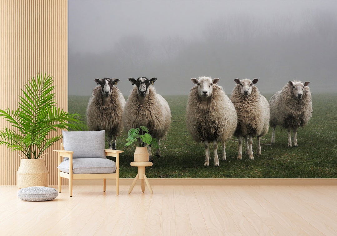 Sheep Wallpaper Mural: 3D Animal Wall Art, Custom Size - Etsy