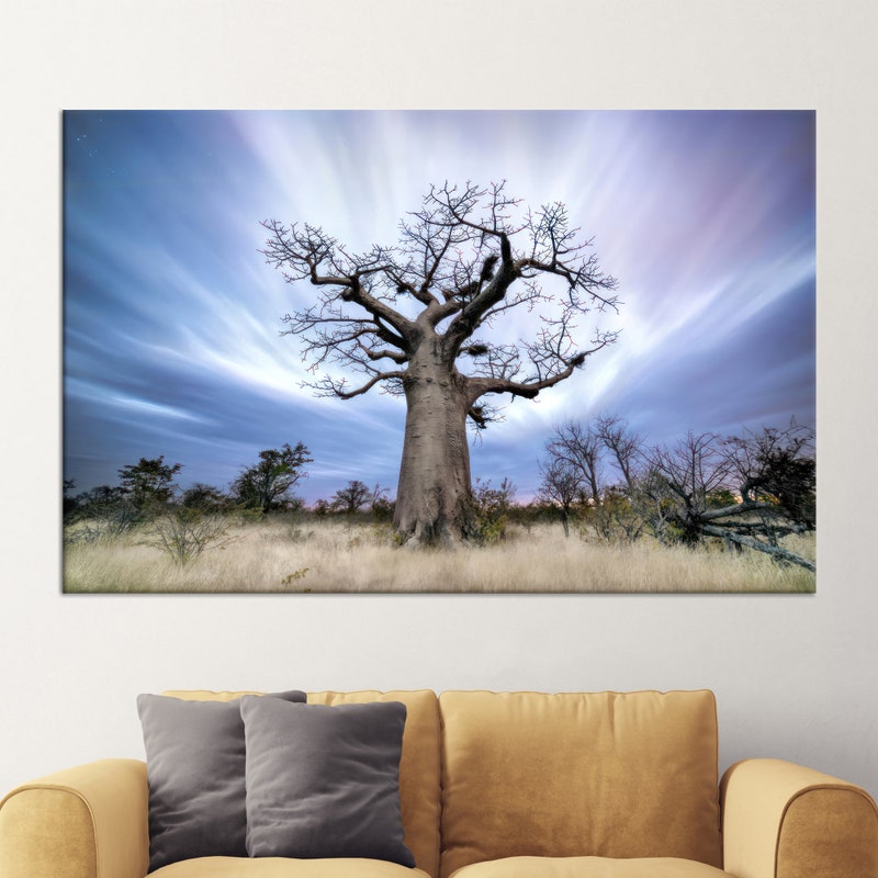 Baobab Tree - Etsy