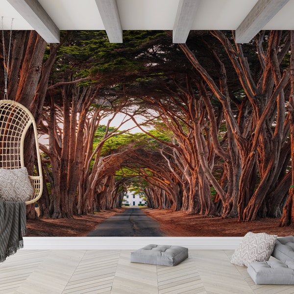 Cypress Tree Wallpaper - Etsy
