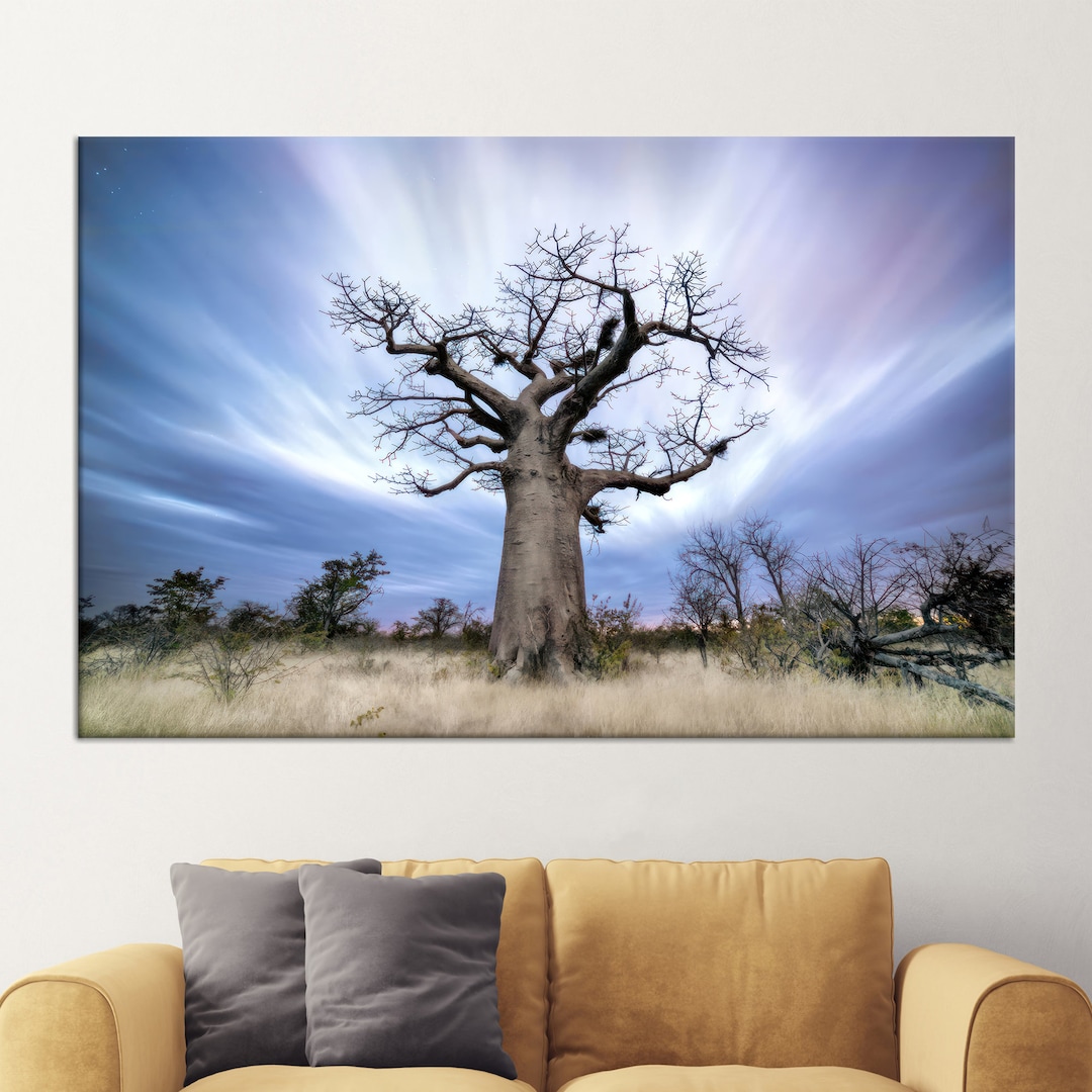 Baobab Tree Wall Art – African Landscape Canvas or Glass Print - Etsy