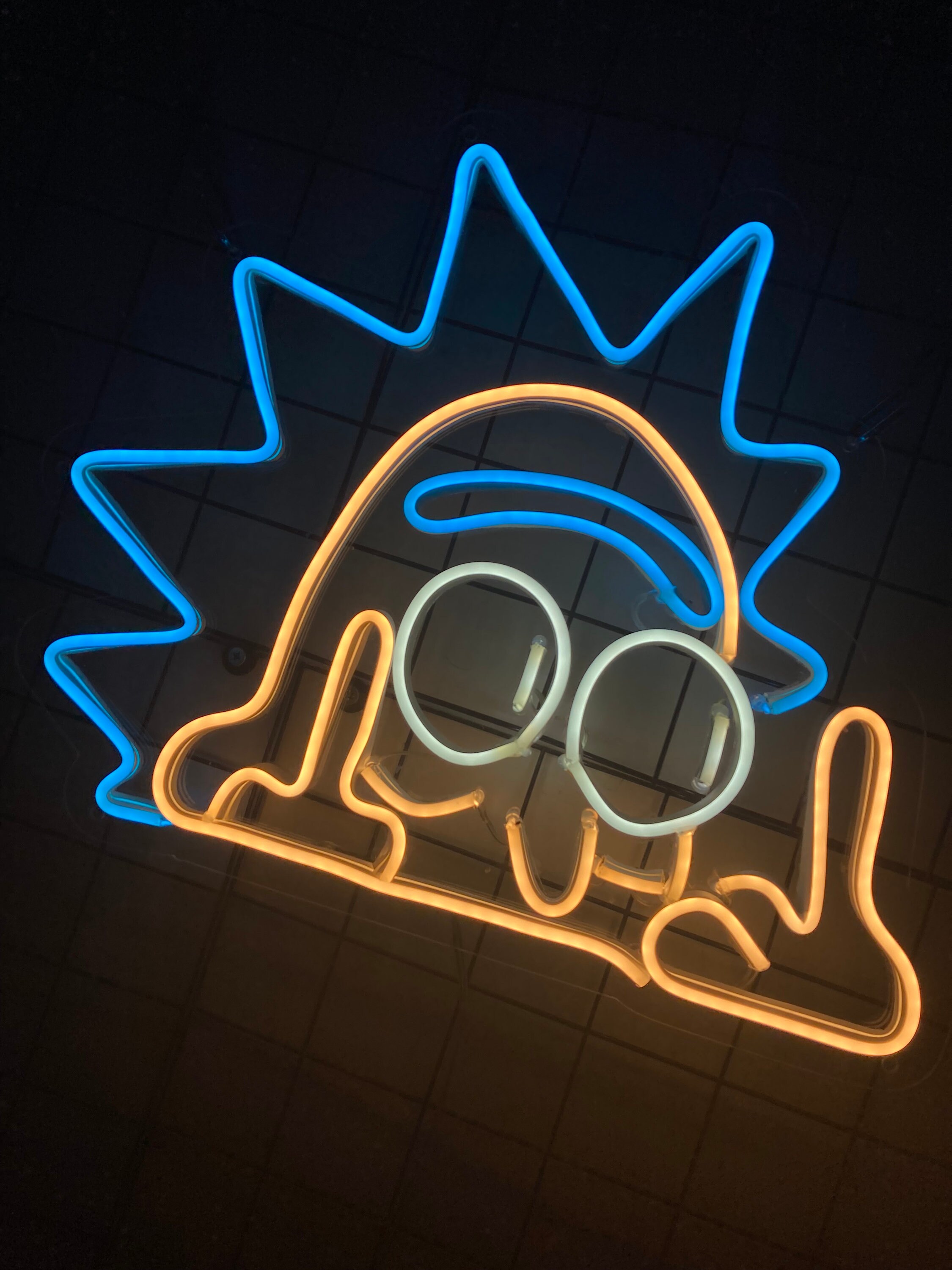 Rick and Morty Neon Sign, Rick Neon Light, Custom Neon Sign, Neon Gift ...
