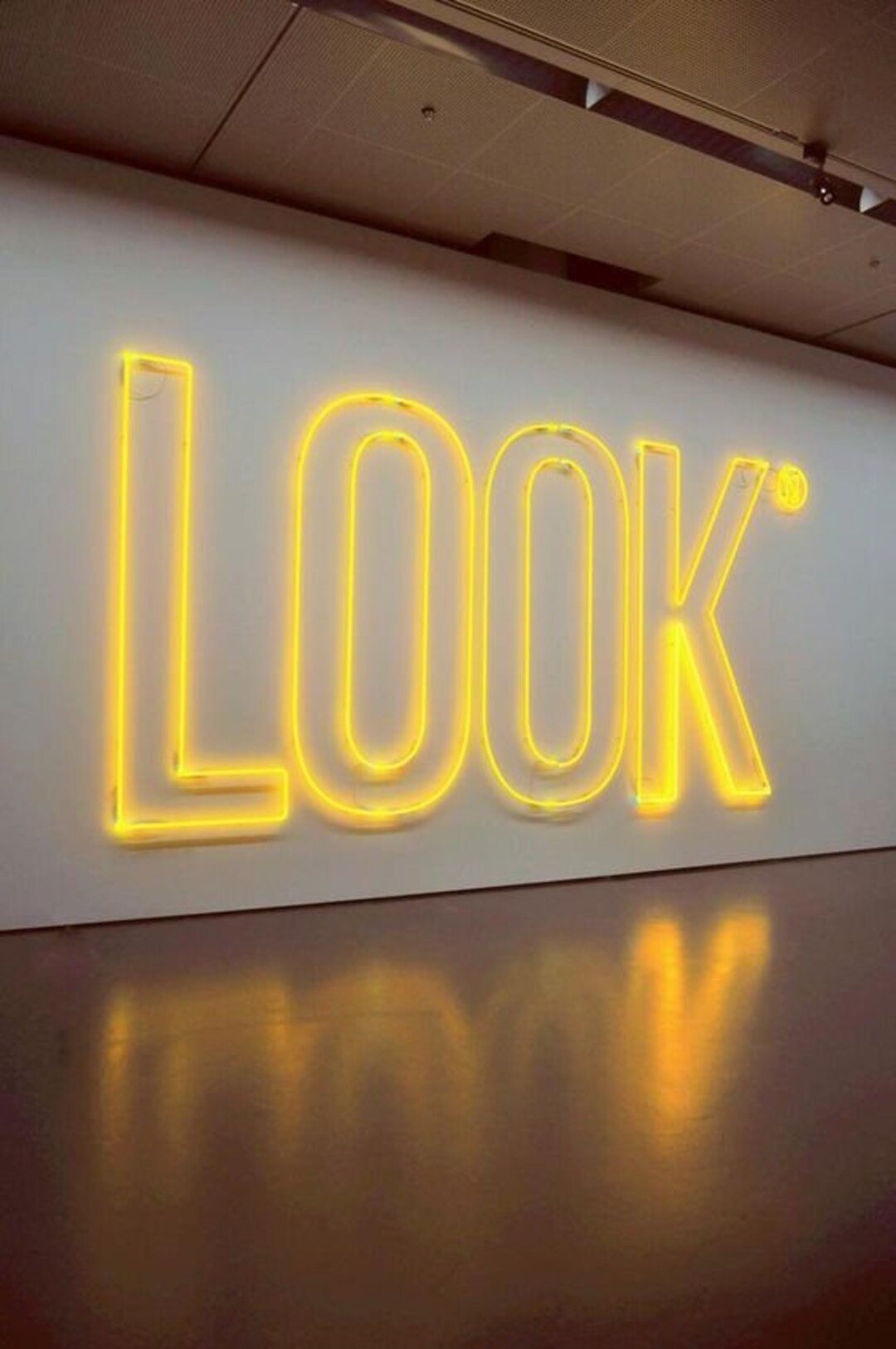Look Neon Sign Neon SHOP Custom Wings Neon Sign Neon Redb - Etsy