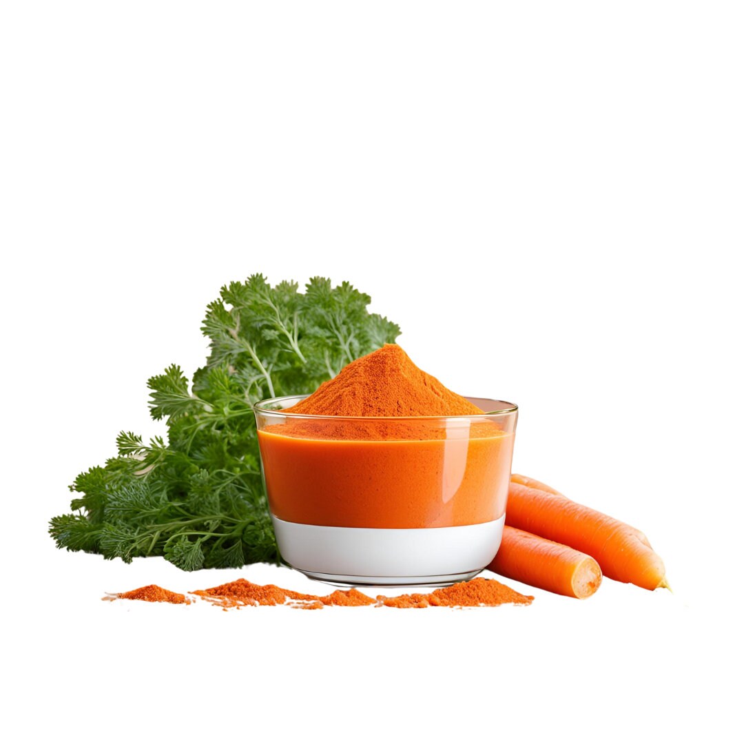 Benguet Pure Natural Carrots Powder for Baking, Juice, Smoothies, No ...