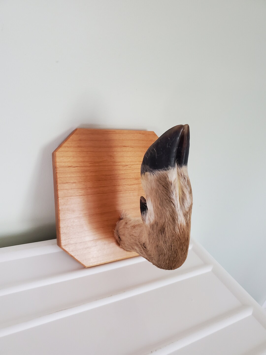 Deer Hoof Coat Hook - Etsy