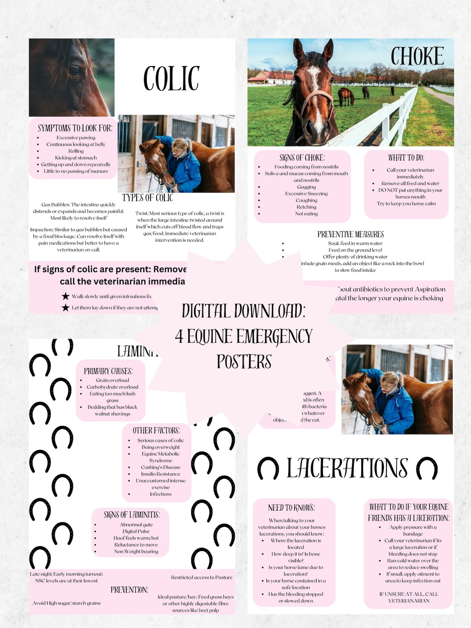 Digital Download EQUINE EMERGENCY POSTER, Equine Health Posters ...