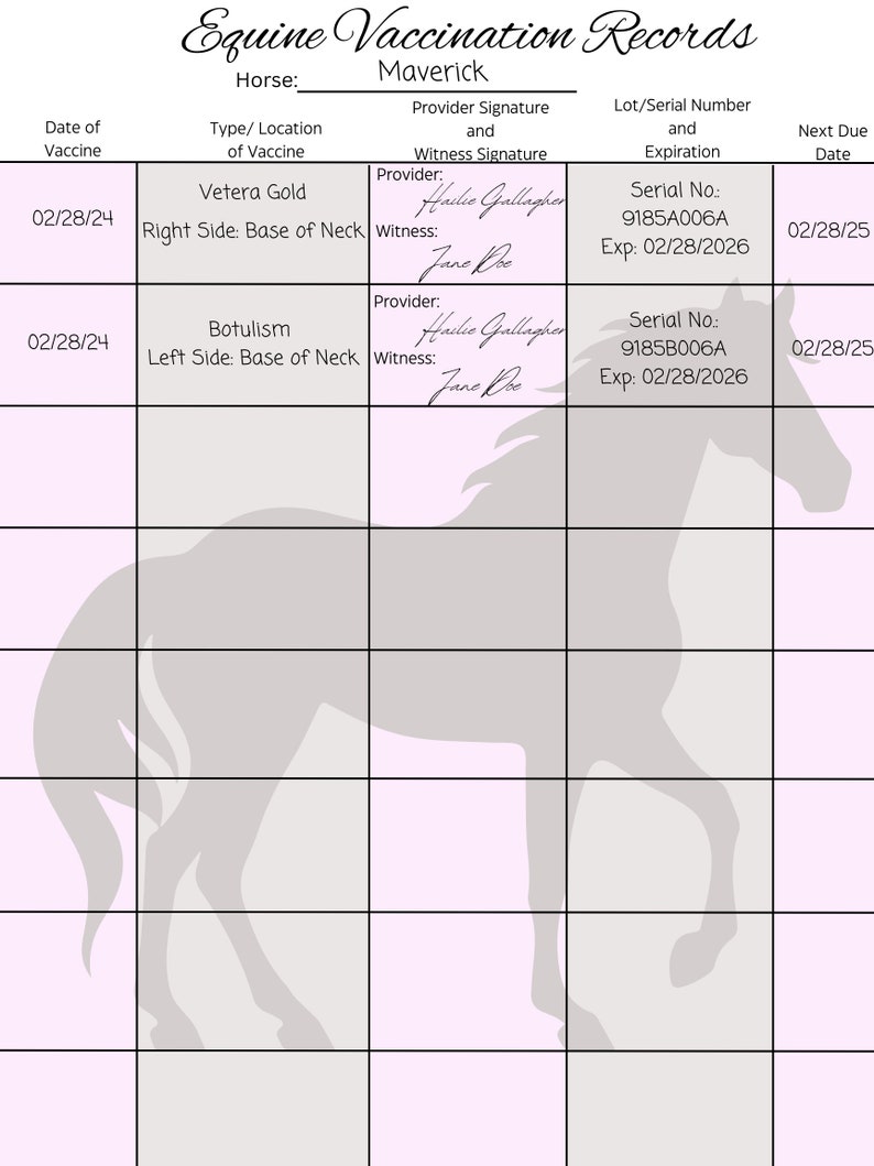 DIGITAL DOWNLOAD Vaccine Chart Equestrian Vaccine Chart Horse ...