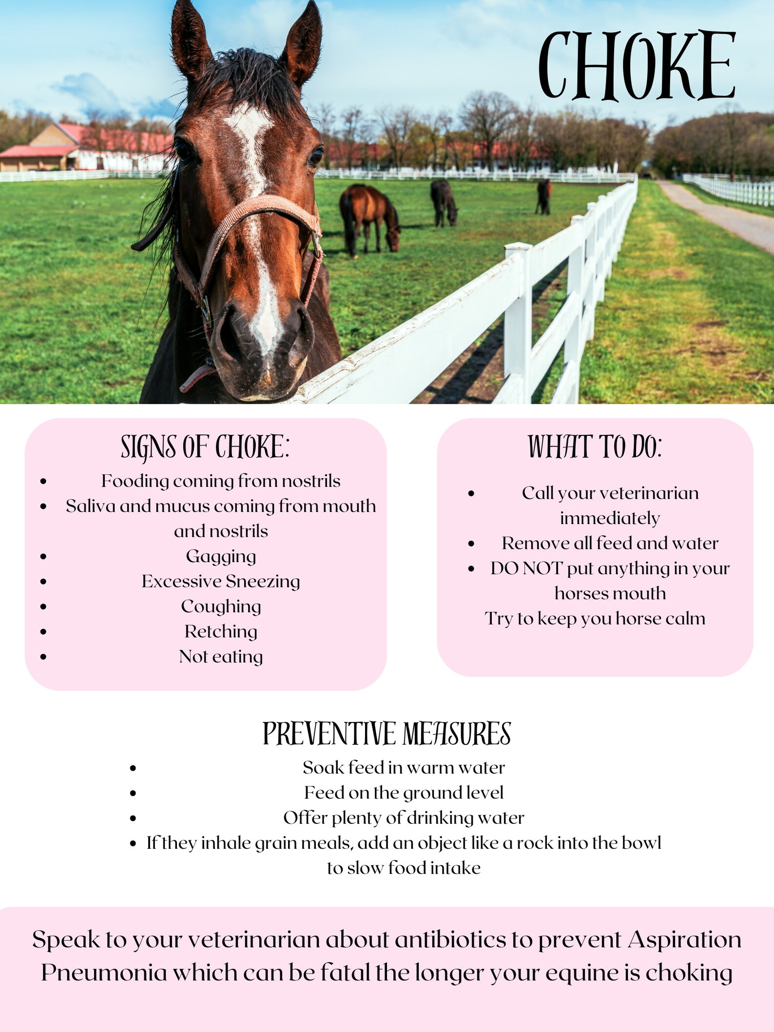Digital Download EQUINE EMERGENCY POSTER, Equine Health Posters ...