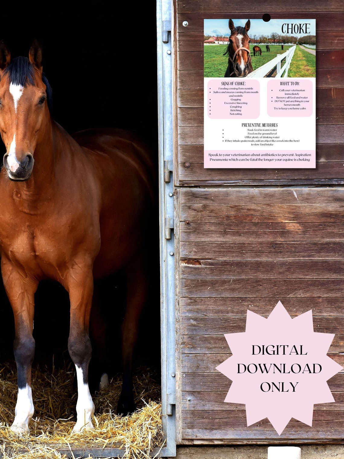 Digital Download EQUINE EMERGENCY POSTER, Equine Health Posters ...