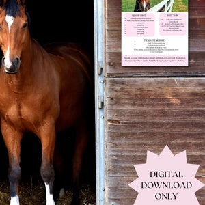 Digital Download EQUINE EMERGENCY POSTER, Equine Health Posters ...