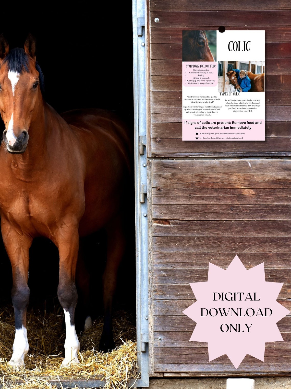 Digital Download EQUINE EMERGENCY POSTER, Equine Health Posters ...