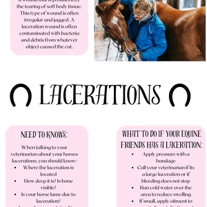 Digital Download EQUINE EMERGENCY POSTER, Equine Health Posters ...