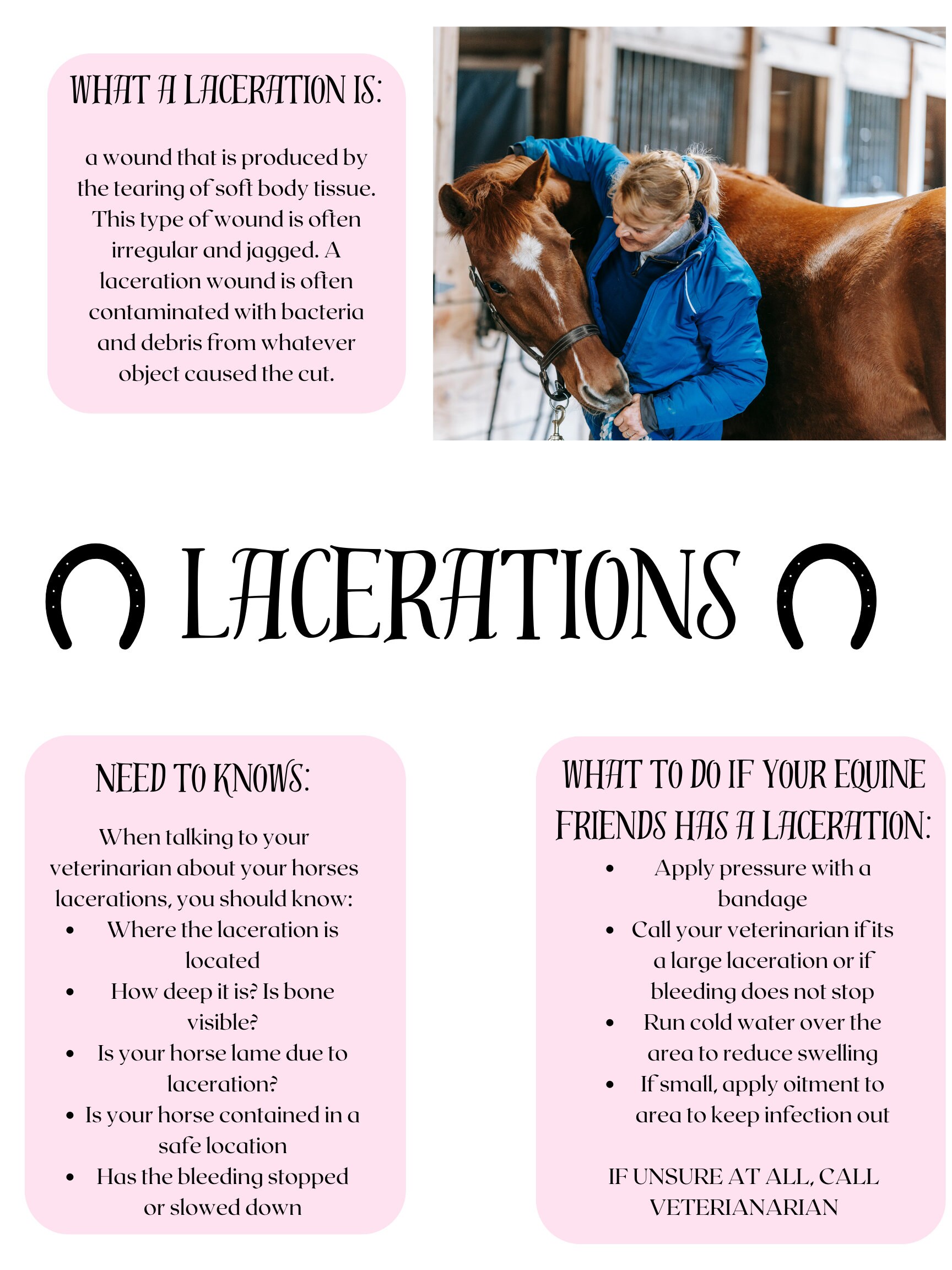 Digital Download EQUINE EMERGENCY POSTER, Equine Health Posters ...