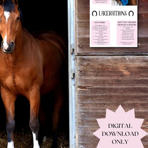 Digital Download EQUINE EMERGENCY POSTER, Equine Health Posters ...