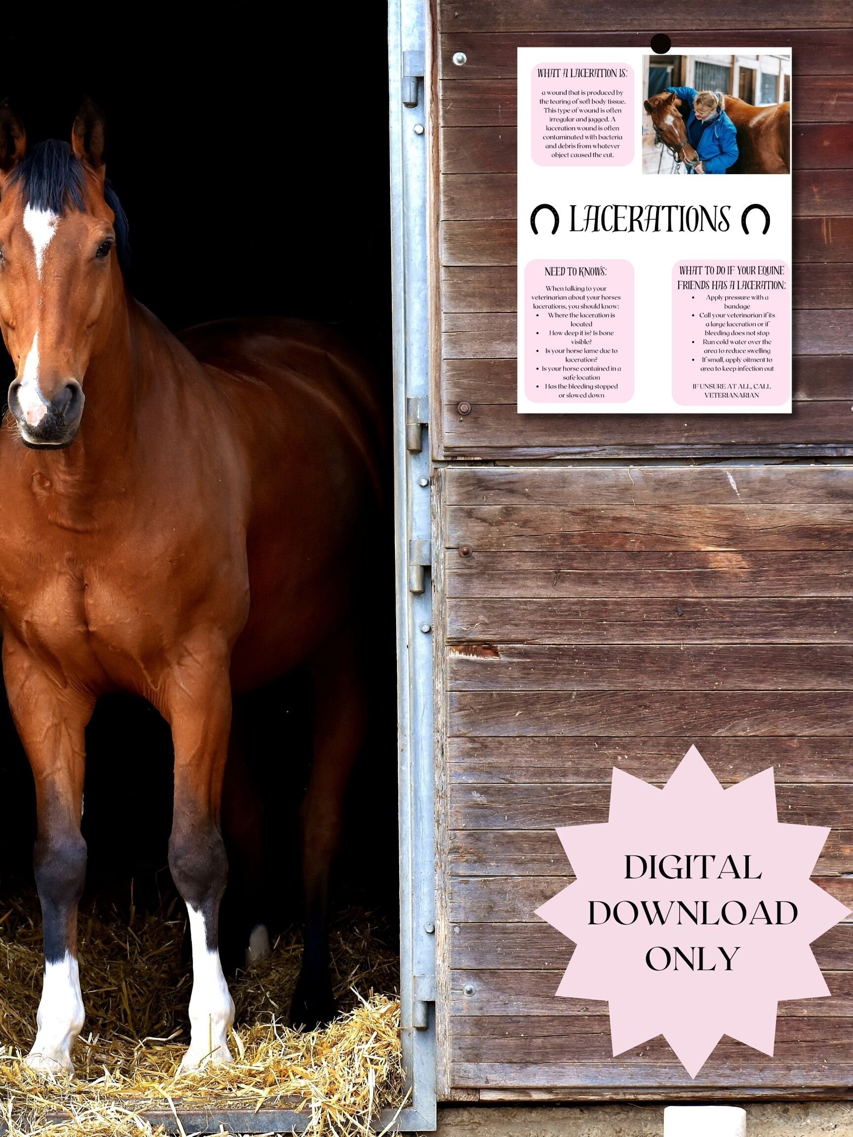 Digital Download EQUINE EMERGENCY POSTER, Equine Health Posters ...