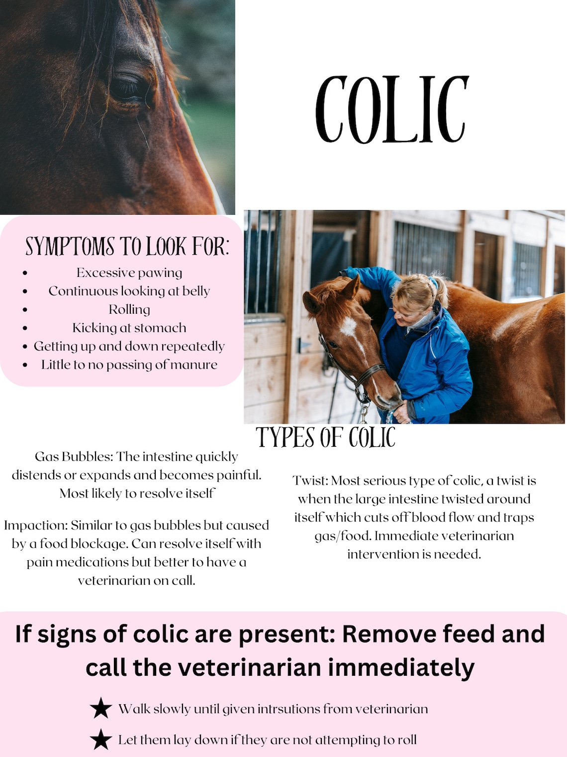 Digital Download EQUINE EMERGENCY POSTER, Equine Health Posters ...