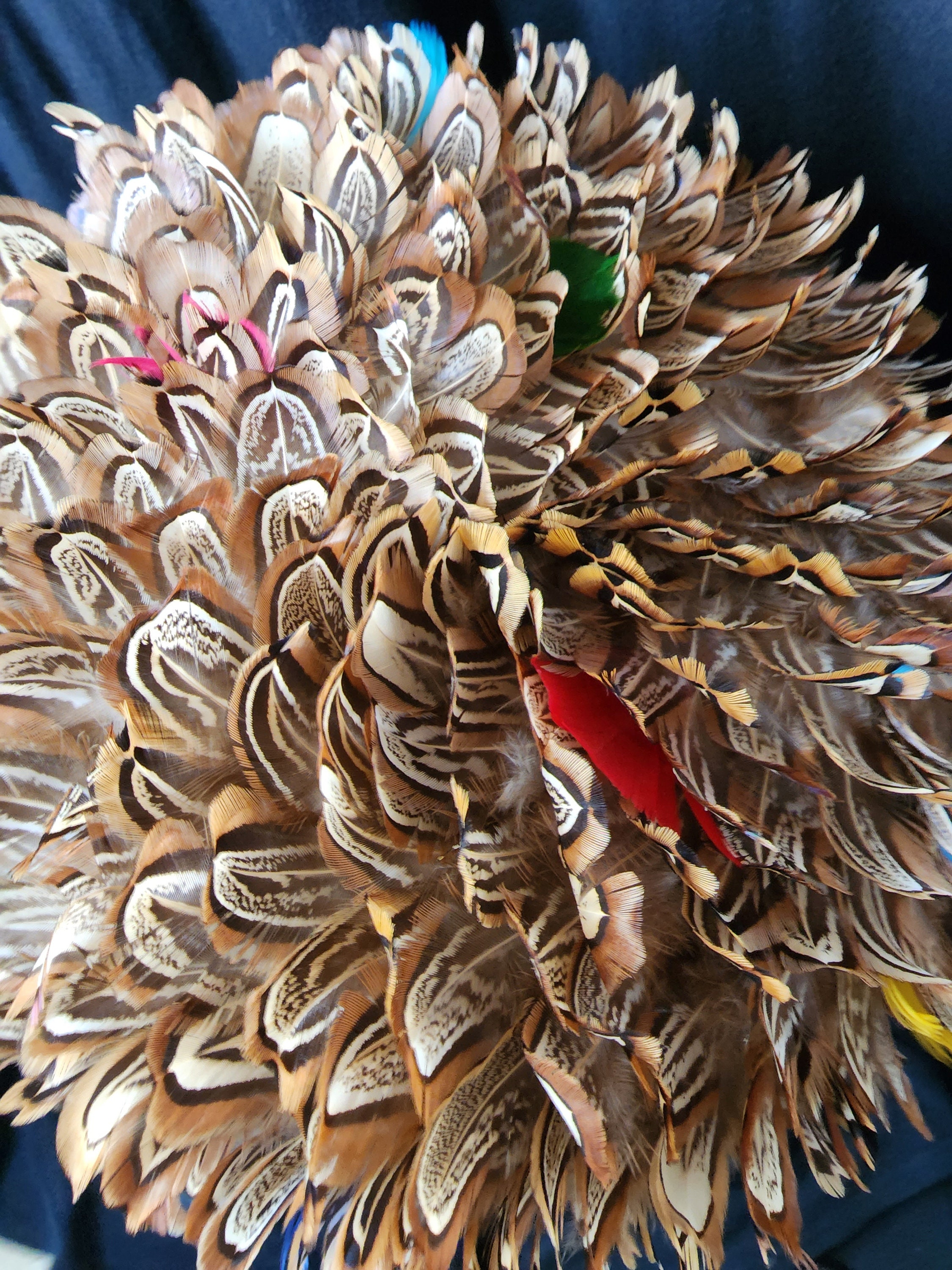 1950's Linda Farrell Pheasant Feather Hat - Etsy