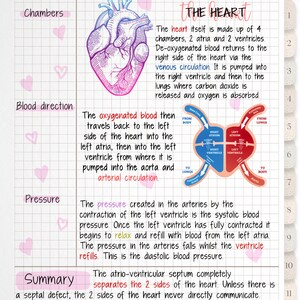 80 Page Cute Hearts Workbook Sheets Printable Alphabet iPad Beginner ...