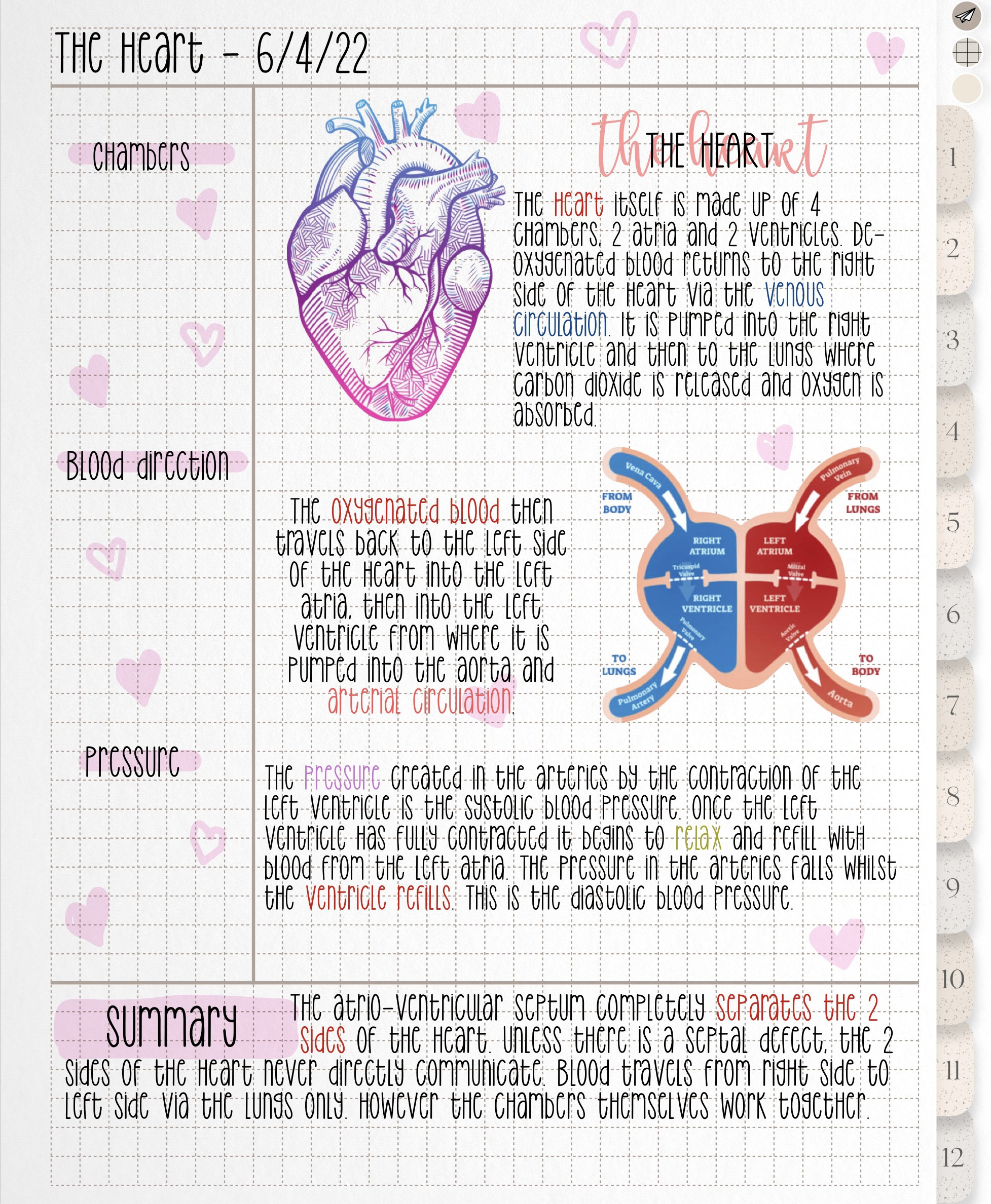 Playful Handwritten Font for Neat Writing | Written Student Handwriting ...