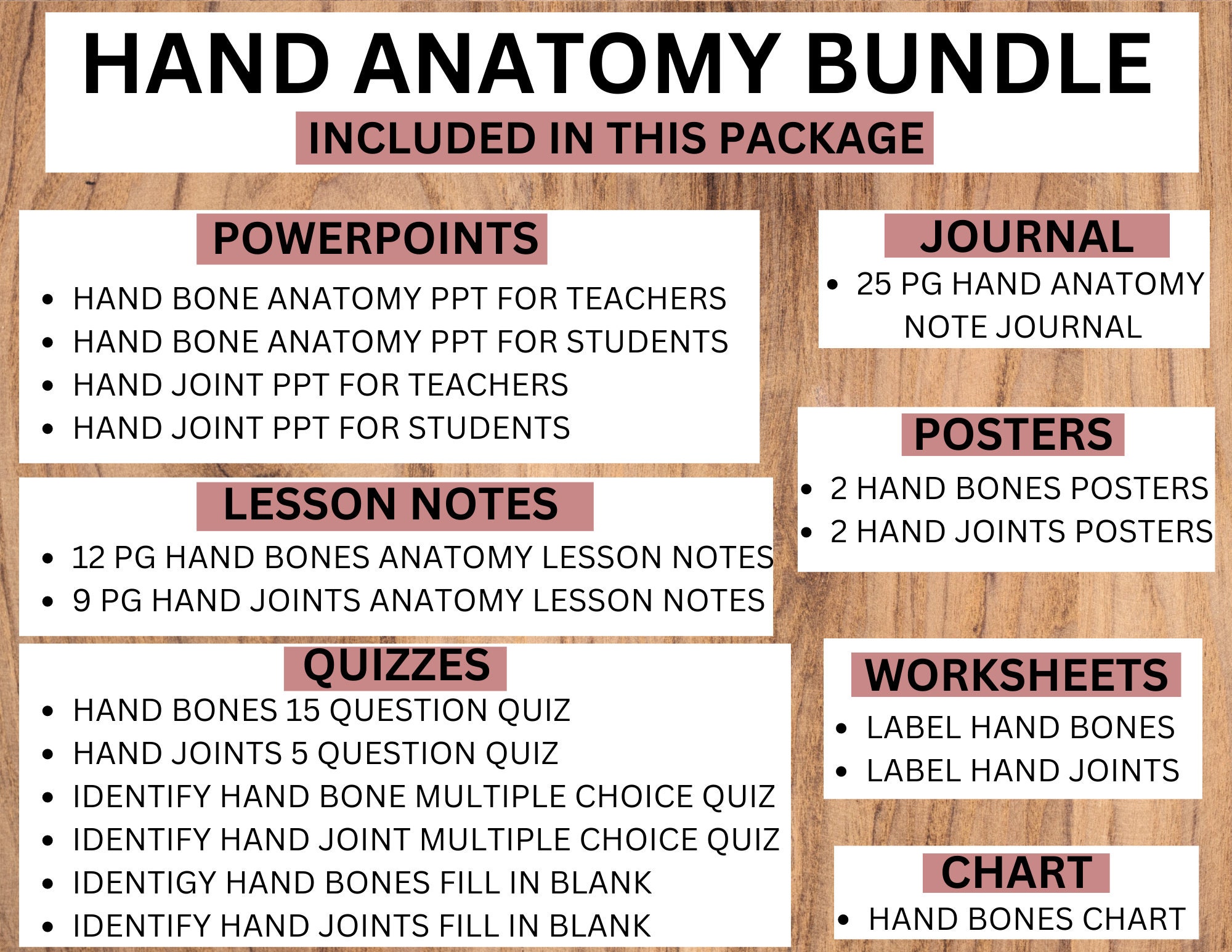Hand Anatomy Bundle Anatomy & Physiology Notes Bones of the Hand Hand ...