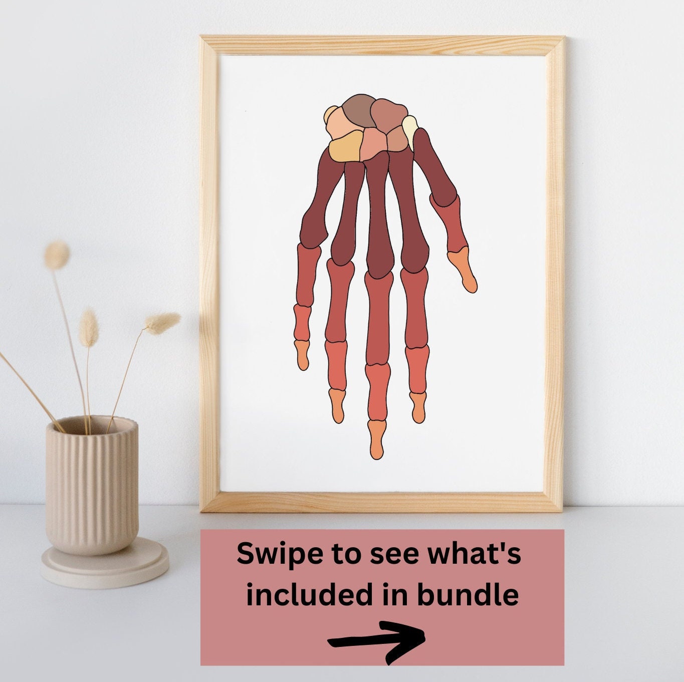 Hand Anatomy Bundle Anatomy & Physiology Notes Bones of the Hand Hand ...