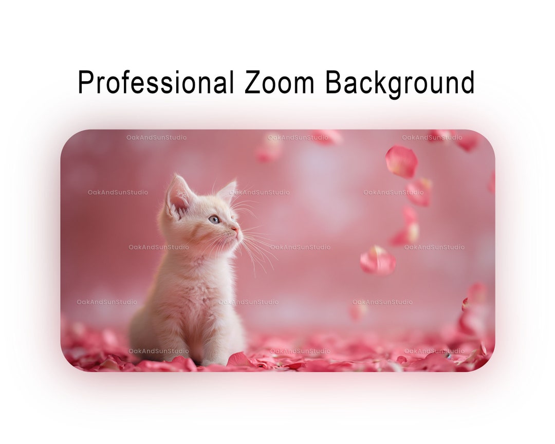 Cute Kitty | Valentine Day | White Cat | Pink |zoom Virtual Backgrounds ...