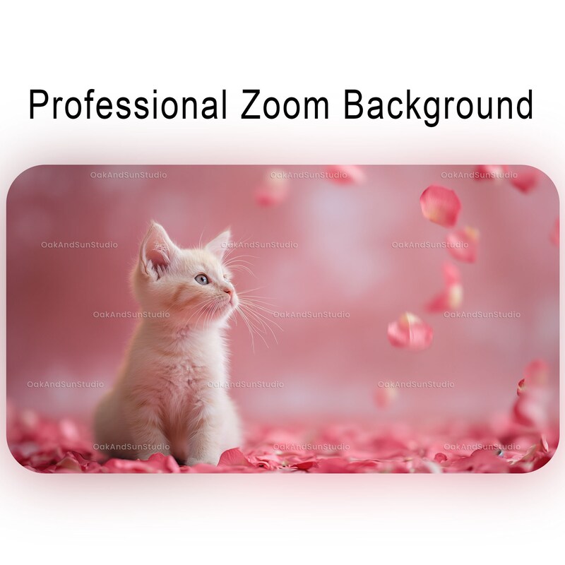 Cat Zoom Backdrop - Etsy