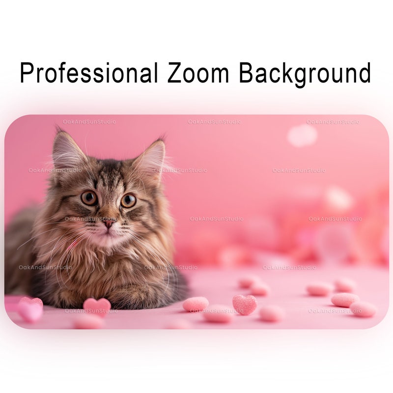 Cat Zoom Backdrop - Etsy