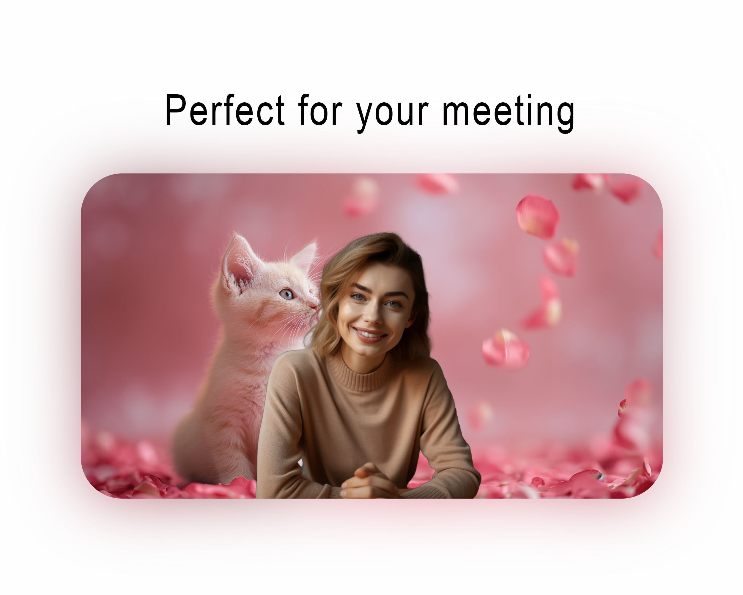 Cute Kitty | Valentine Day | White Cat | Pink |zoom Virtual Backgrounds ...