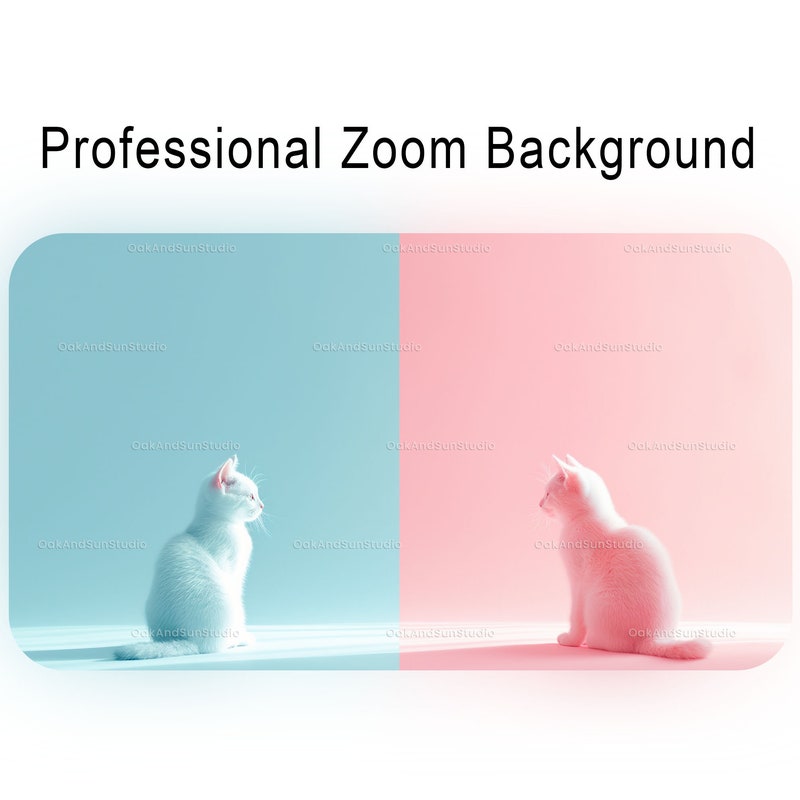 Cat Zoom Backdrop - Etsy