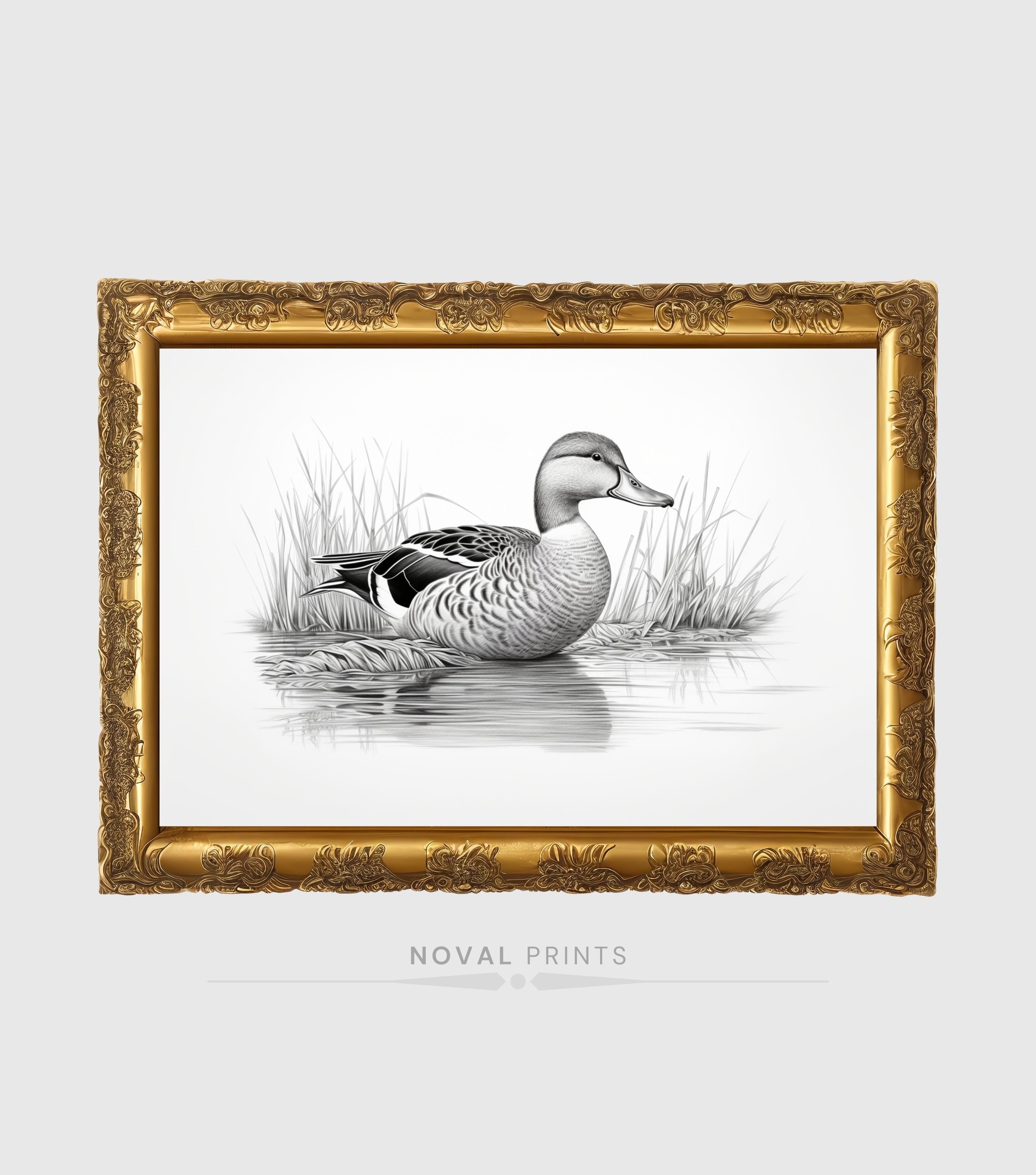 Duck Pencil Sketch Drawing Home Decor, Antique Vintage Duck Painting ...
