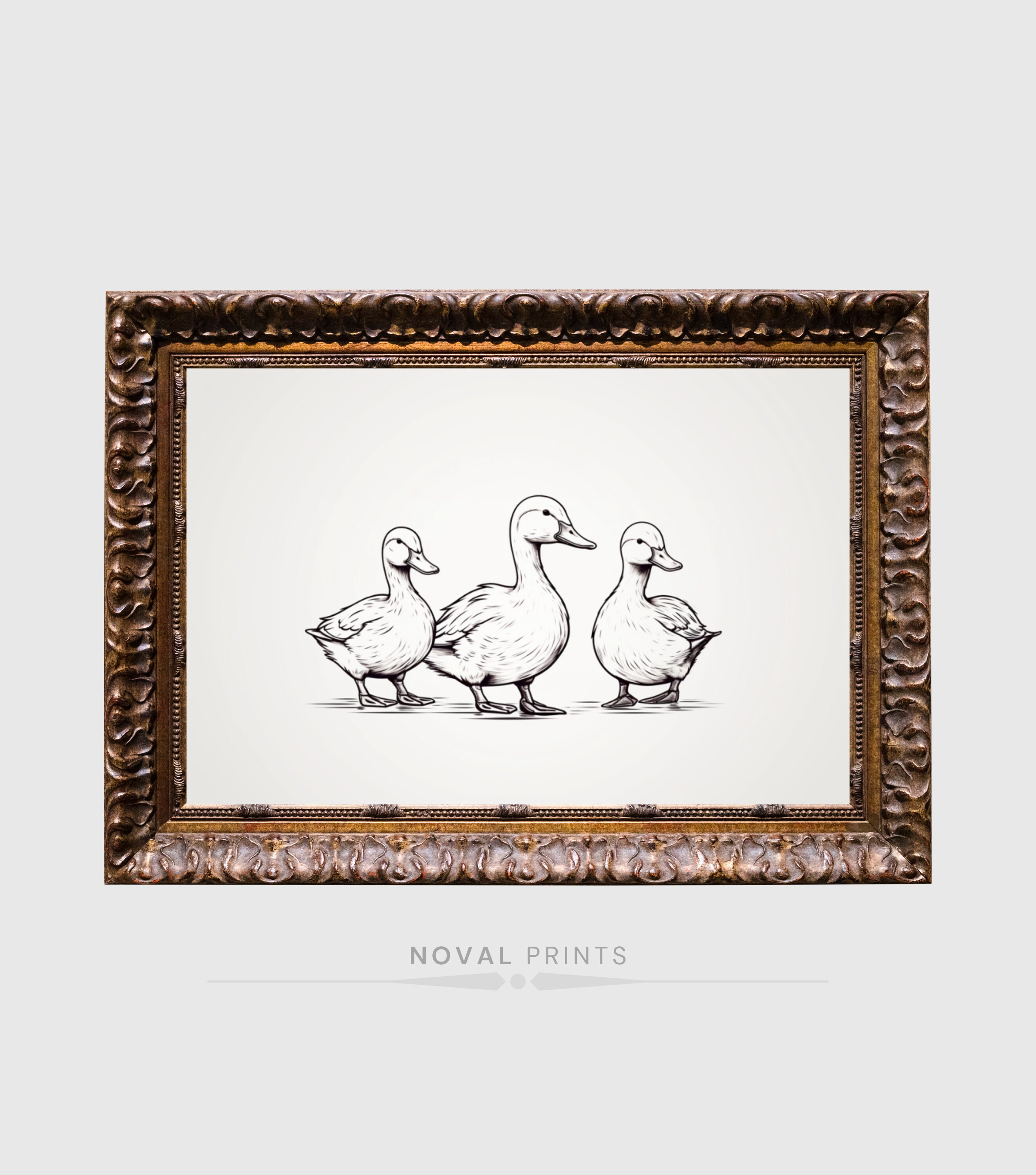 Duck Pencil Sketch Print, Duck Drawing Home Decor, Antique Vintage Duck ...