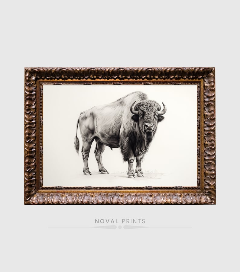 Buffalo Pencil Drawing Home Decor, American Bison Wall Art Print, Bison ...