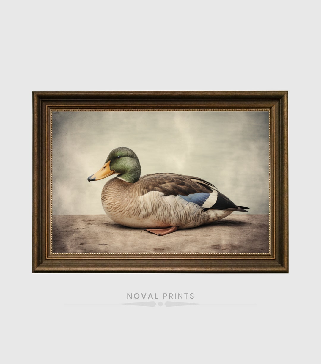 Laying Mallard Duck Vintage Wall Art Home Decor, Hunting Nursery ...