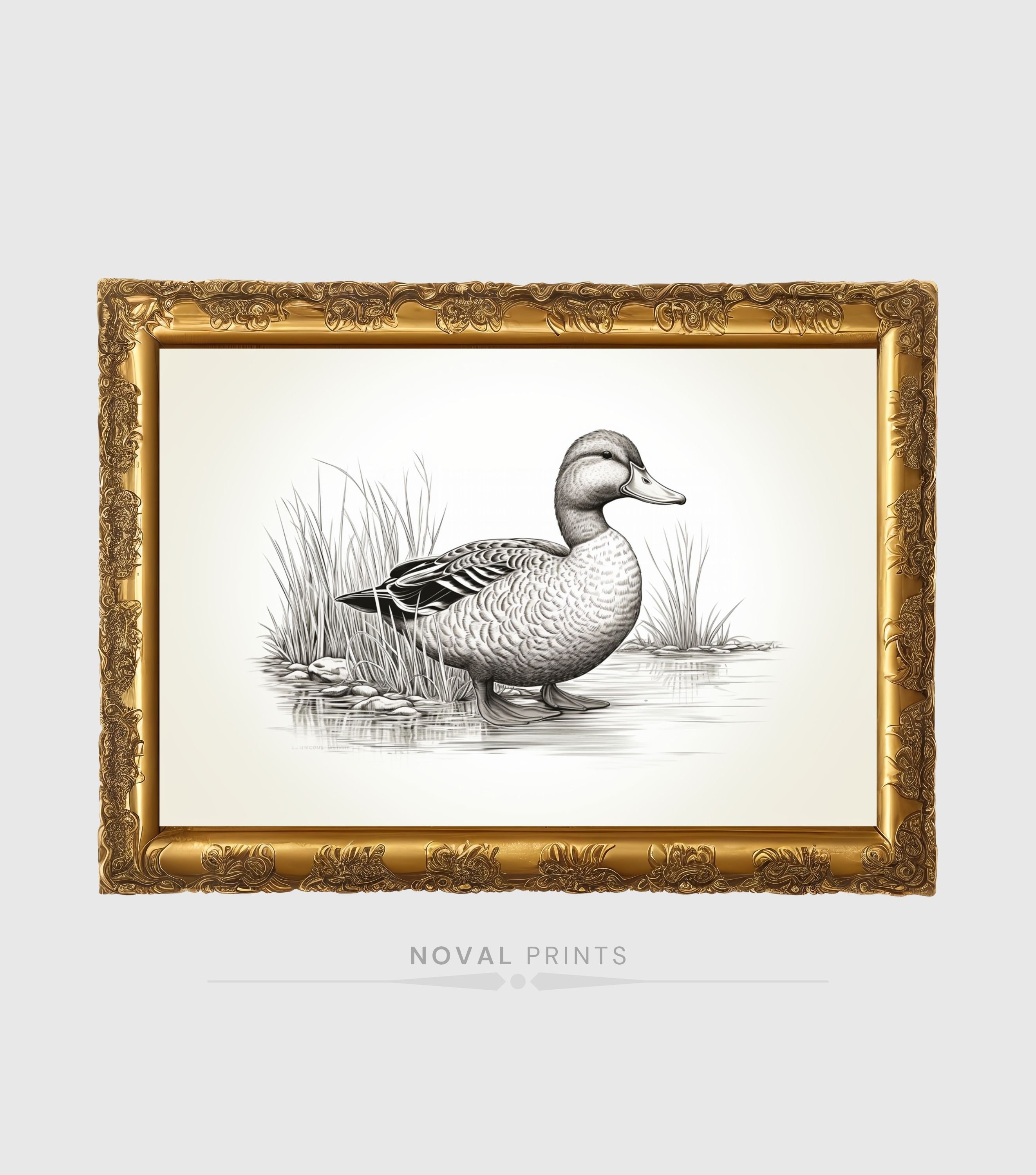 Printable Duck Drawing Print, Duck Sketch Pencil Painting, Animal ...