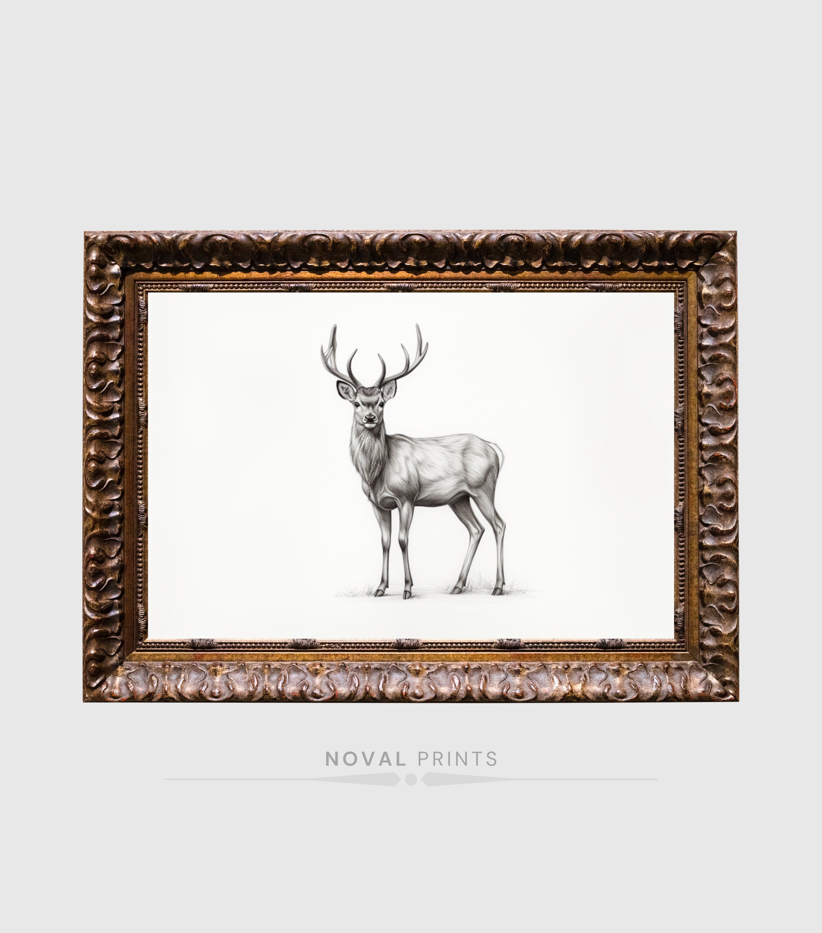 Rustic Vintage Deer Sketch, Woodland Landscape Deer Drawing, Printable ...