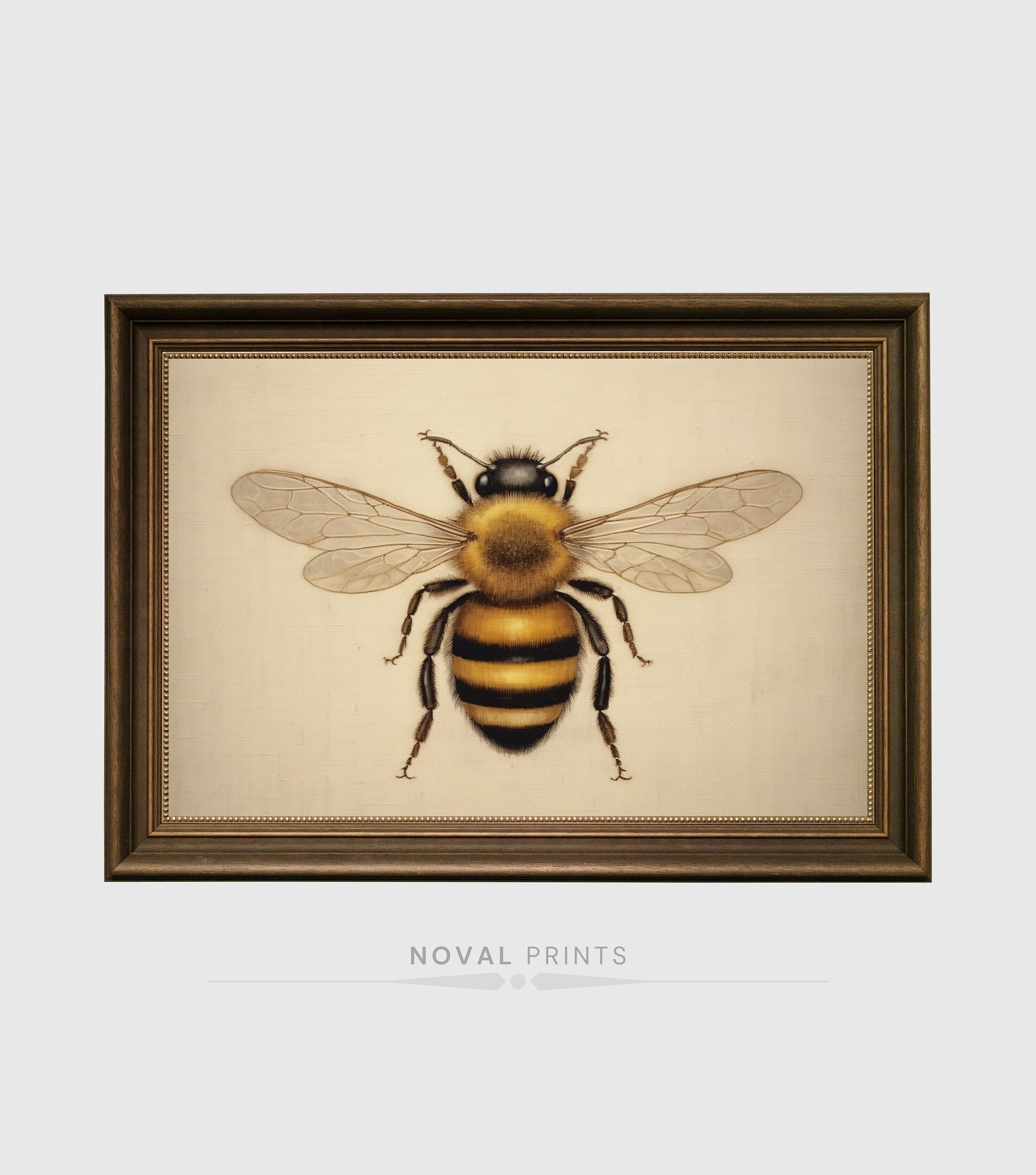 Vintage Bee Print, Manchester Bee, Bee Honey Art, Bee Home Decor ...