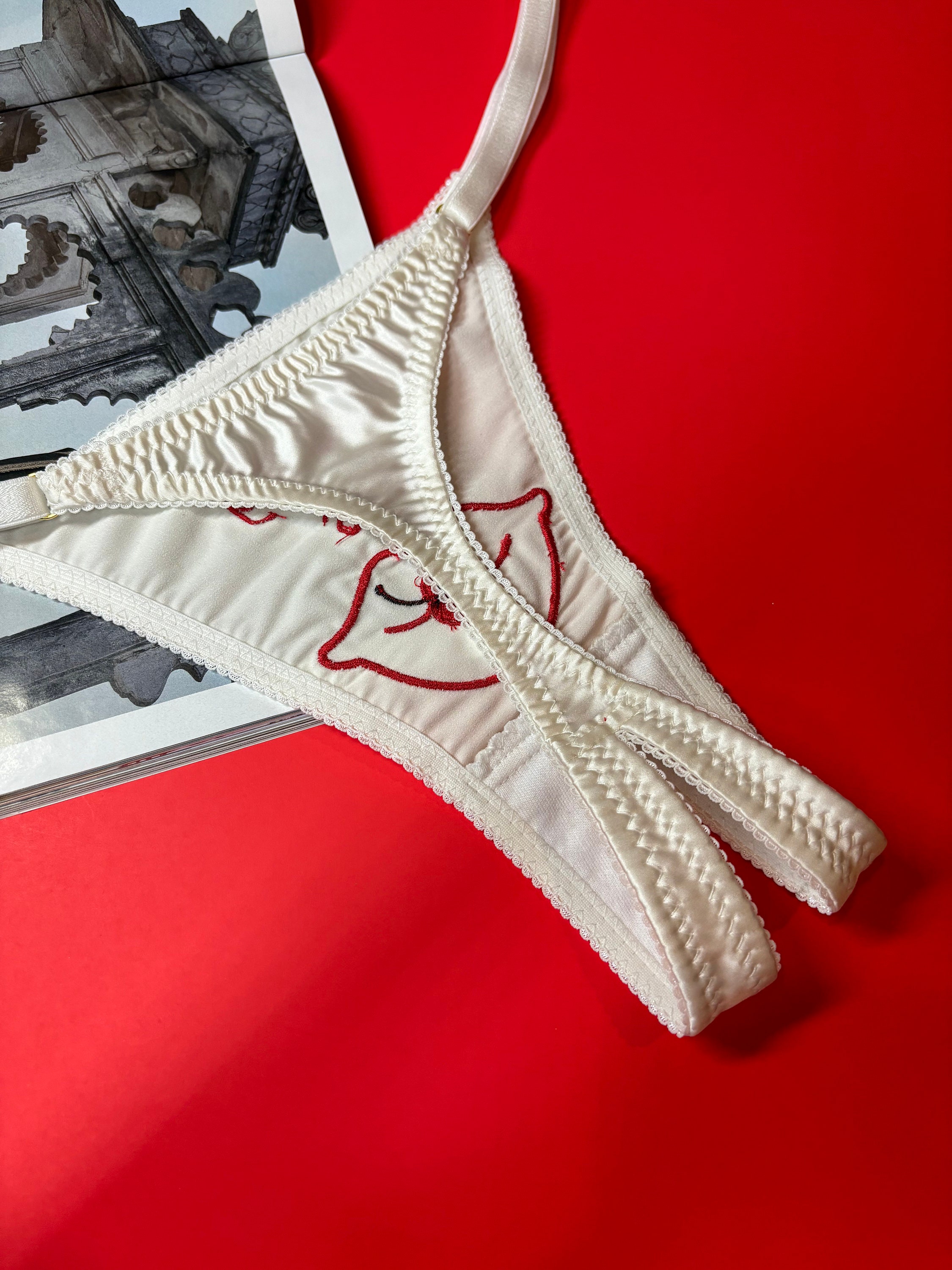 Open Crotch Panties See Through Panties Personalized Panties Sexy