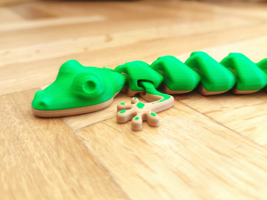 Dual Color Articulated Lizard - 3D Printed Fidget Toy - Etsy